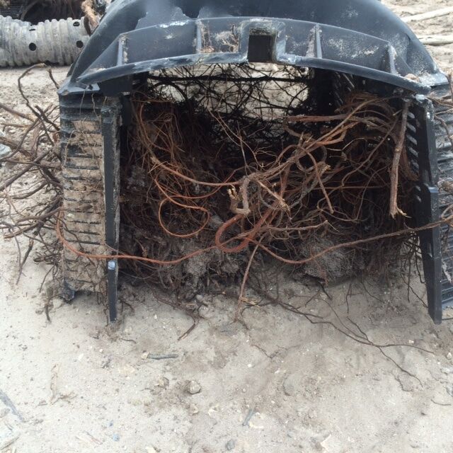 2 Sure Ways to Get Rid Of Septic System Roots • Martin Septic Service