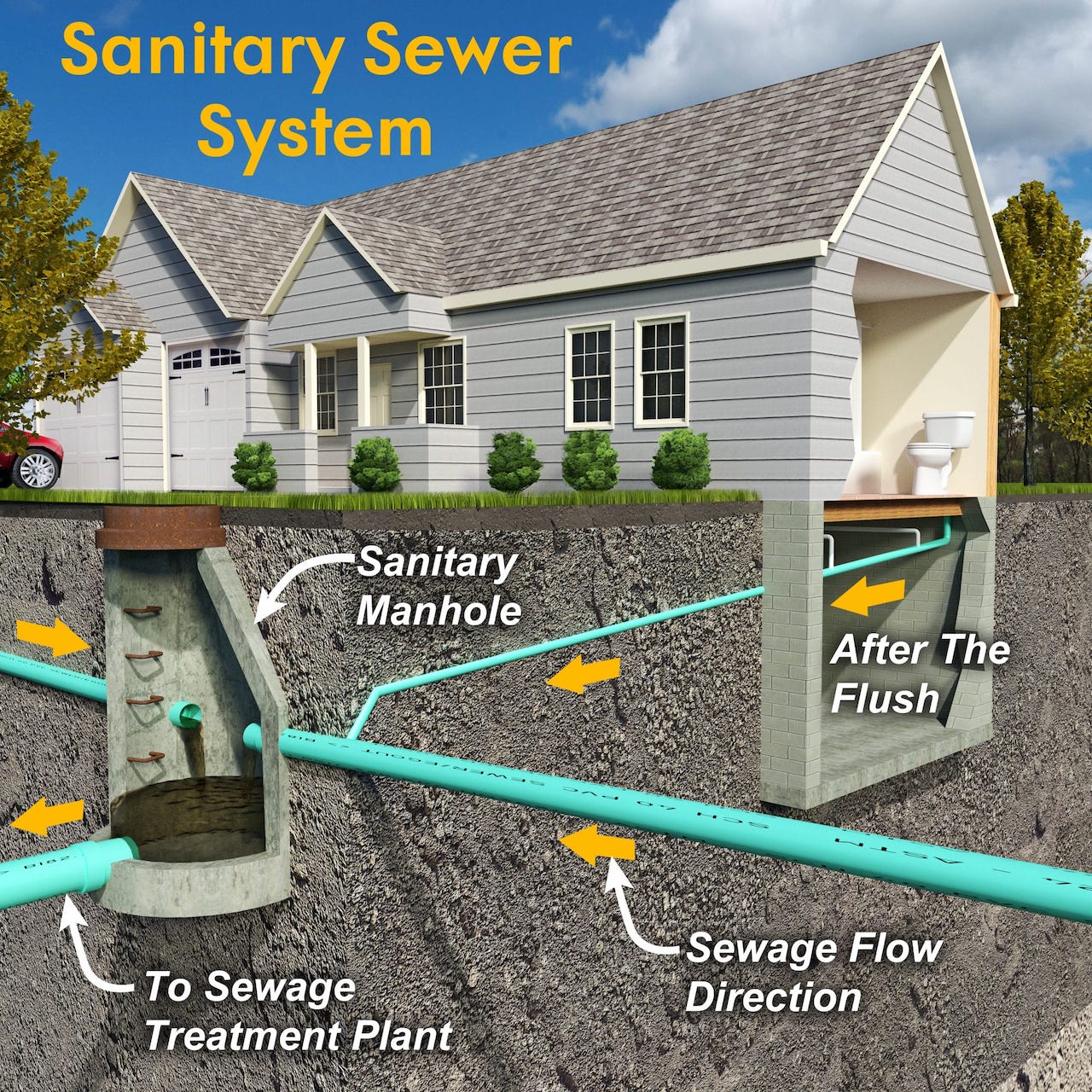 2 Sure Ways to Get Rid Of Septic System Roots • Martin Septic Service